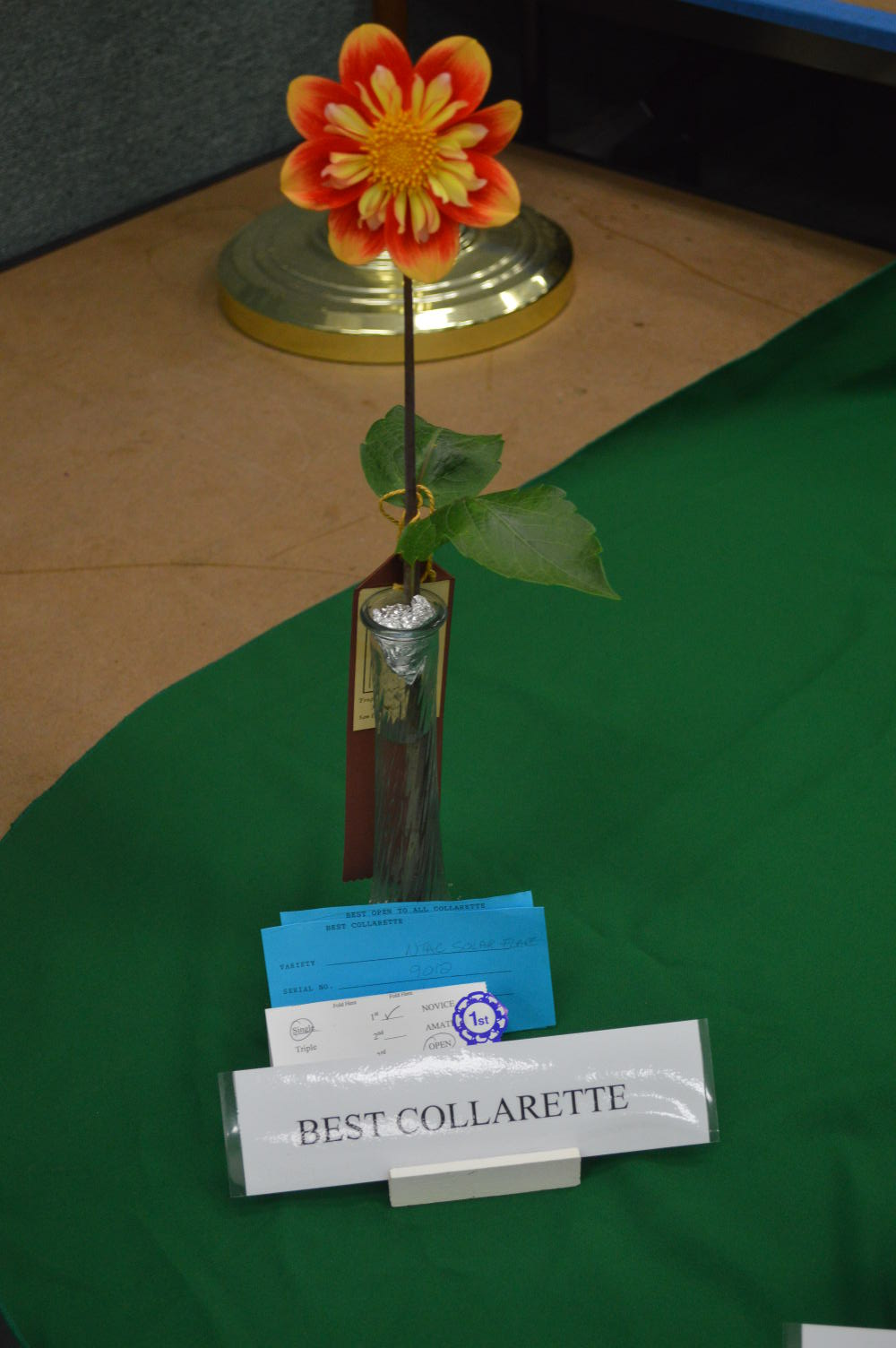 3d Flower Model Science Project